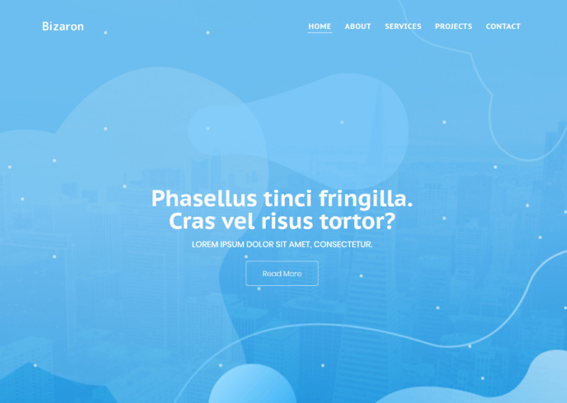 Best Free Customizable Themes