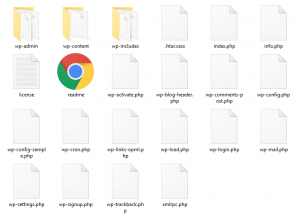 A quick and simple guide to WordPress directory structure
