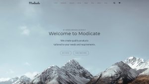 Bootstrap 5 Premium Templates for Building a Modern Website - Zemez